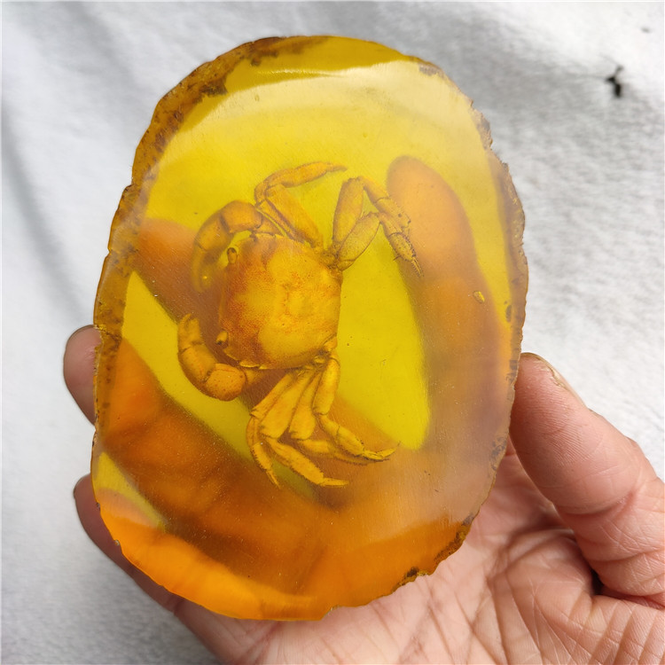 Amber Fossil | Amber Insect Fossil | Insect Specimen | The Survival Island