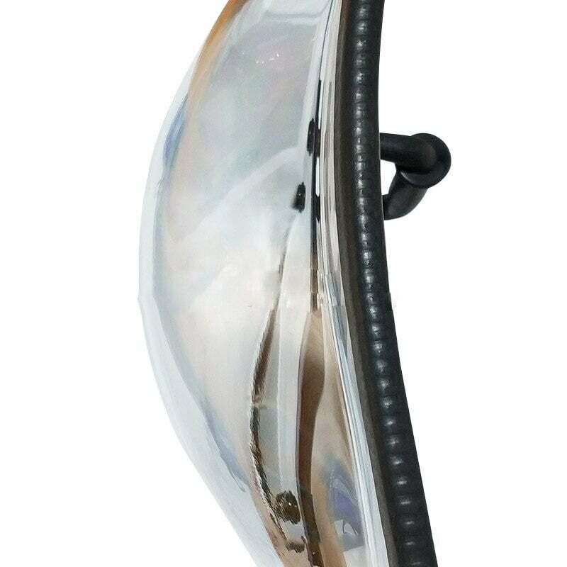 Police Riot Shield | Shield Transparent | The Survival Island