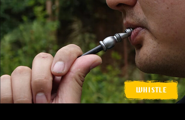 Tactical Walking Stick | Survival Stick | The Survival Island